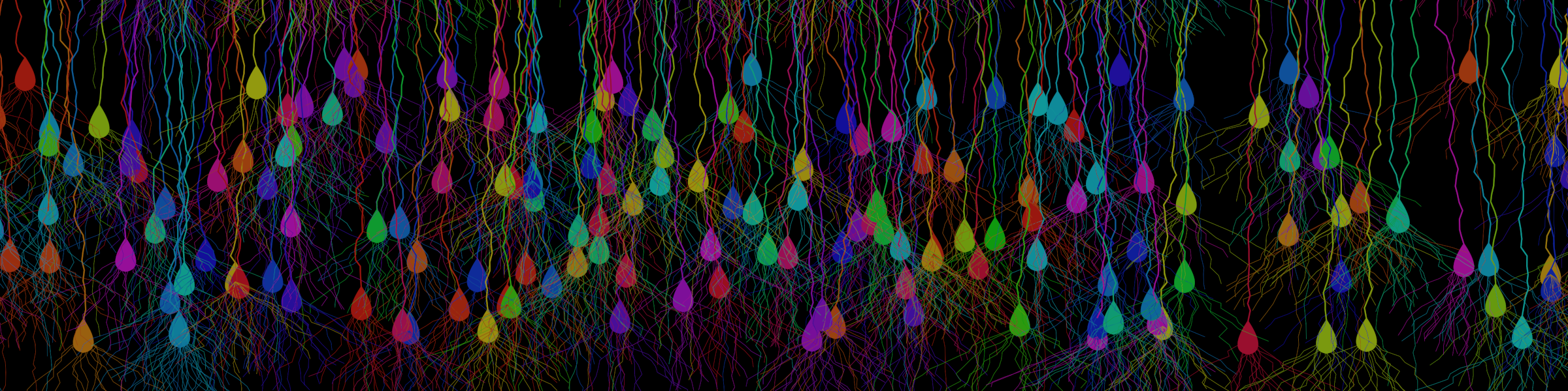 Let’s Make Some Brainbow Art: An artistic experiment in procedural ...